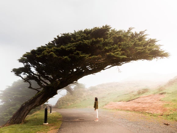 Stock-Fotos, Stock-Fotografie und lizenzfreie Bilder | Adobe Stock