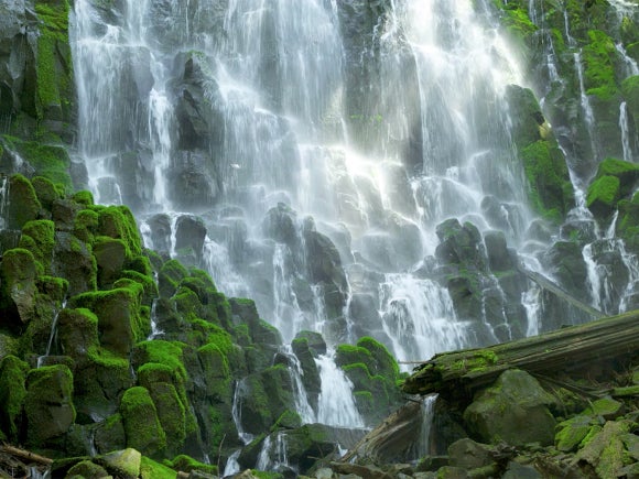 Royalty-Free Video Stock Footage, HD Video Loops & Clips | Adobe Stock