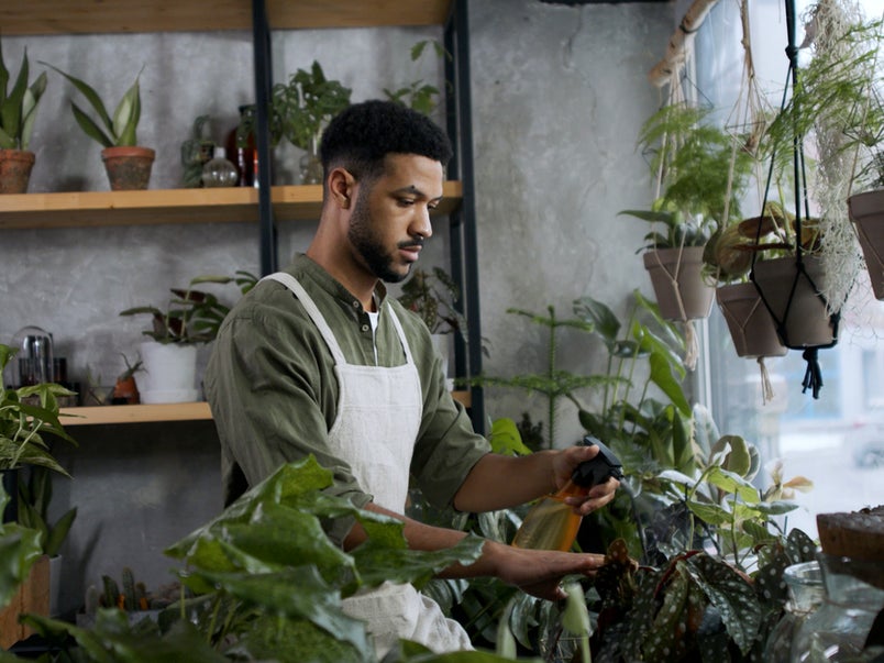 Royalty-Free Video Stock Footage, HD Video Loops & Clips | Adobe Stock