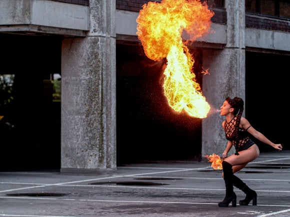 Free Adobe Stock video: Get video footage for any creative project ...