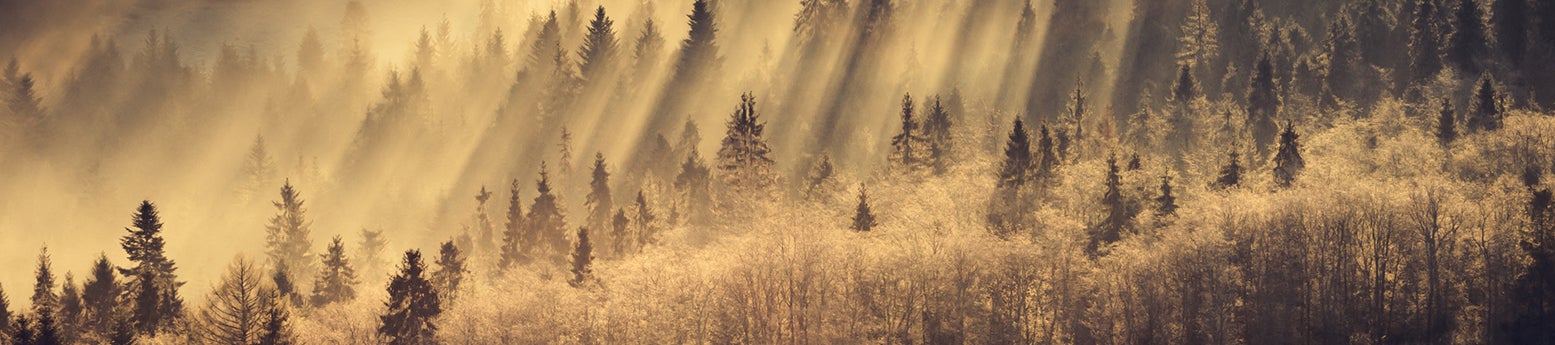 Stockfotos und Stockbilder – lizenzfrei | Adobe Stock