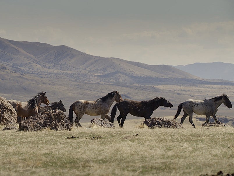 Royalty-Free Video Stock Footage, HD Video Loops & Clips | Adobe Stock