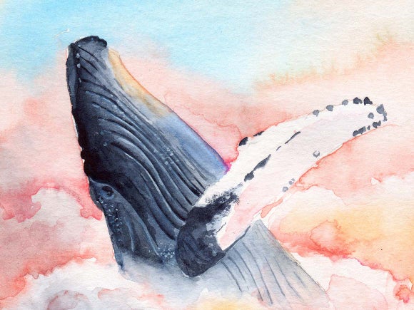 Royalty Free Stock Illustrations | Adobe Stock