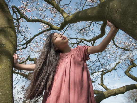 Explore high-quality stock images | The Premium Collection | Adobe Stock