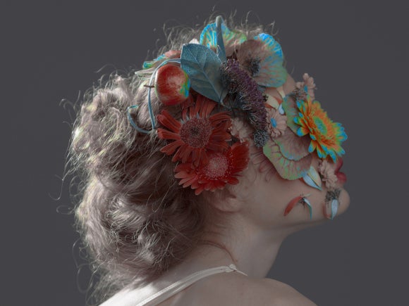 Explore high-quality stock images | The Premium Collection | Adobe Stock