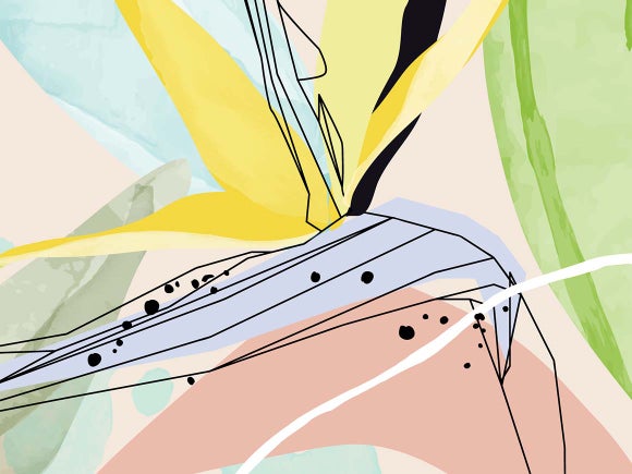 Stock Vector Images, Graphics and Royalty-Free Vectors | Adobe Stock