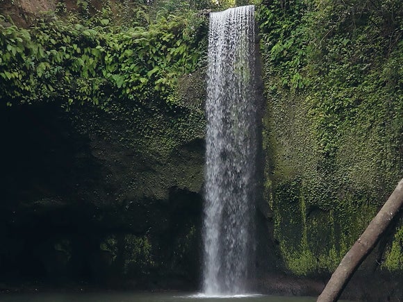 Royalty-Free Video Stock Footage, HD Video Loops & Clips | Adobe Stock