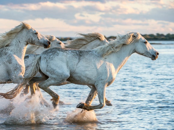 Stockfotos und Stockbilder – lizenzfrei | Adobe Stock