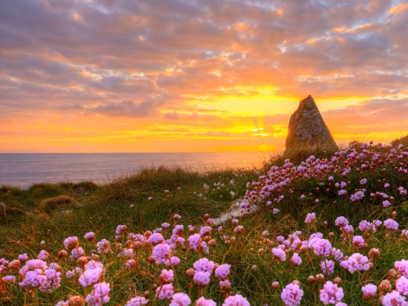 Royalty-Free Video Stock Footage, HD Video Loops & Clips | Adobe Stock