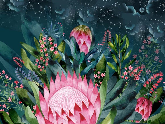 Royalty Free Stock Illustrations | Adobe Stock