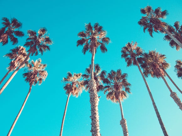 Stock Photos, Stock Photography & Royalty-Free Images | Adobe Stock