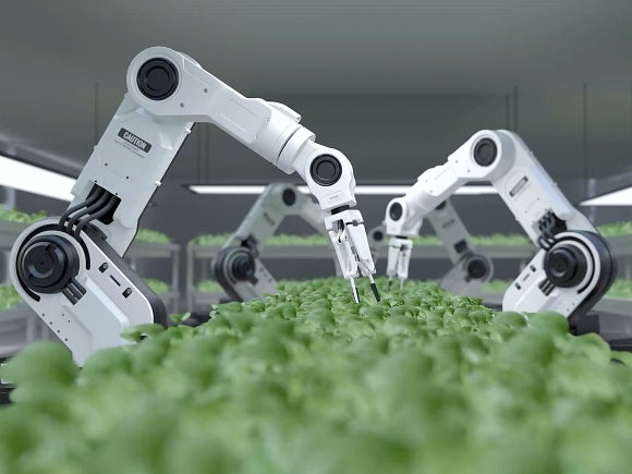 Royalty-Free Video Stock Footage, HD Video Loops & Clips | Adobe Stock