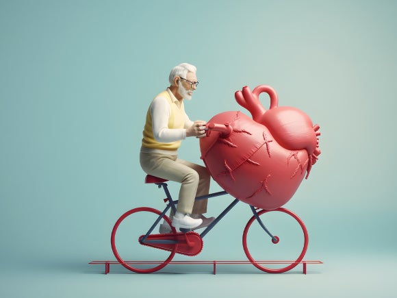 Discover Adobe Stock's Top Categories and Themes | Adobe Stock