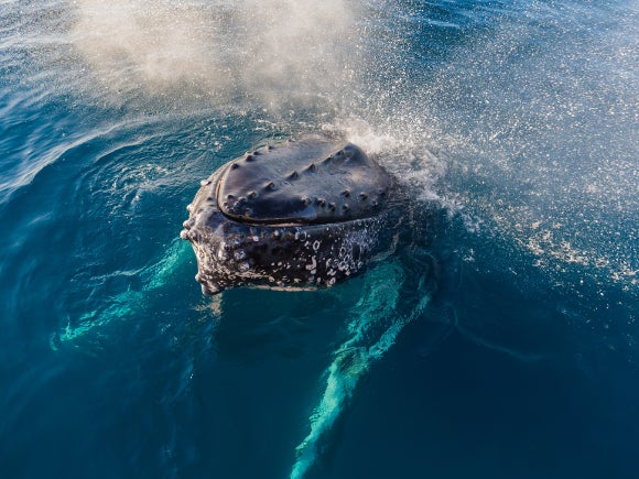 Discover Adobe Stock's Top Categories and Themes | Adobe Stock