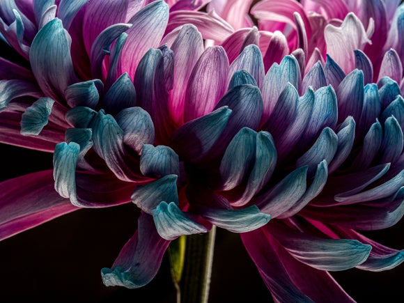 Discover Adobe Stock's Top Categories and Themes | Adobe Stock