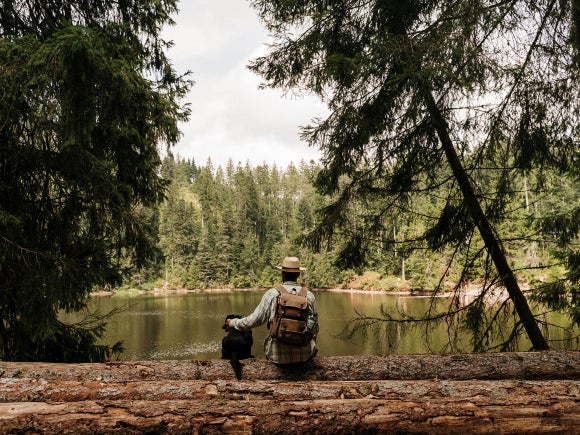 Discover Adobe Stock's Top Categories and Themes | Adobe Stock