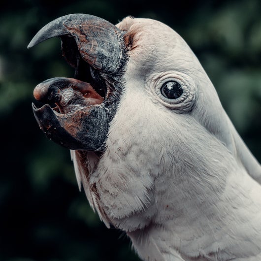 Catalogue de photos et images libres de droits | Adobe Stock