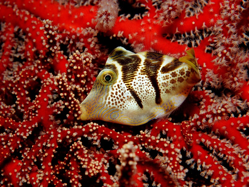 Stock Photos, Stock Photography & Royalty-Free Images | Adobe Stock