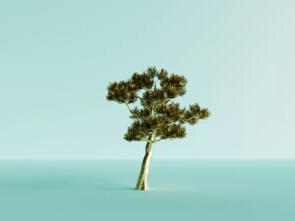 Explore high-quality stock images | The Premium Collection | Adobe Stock